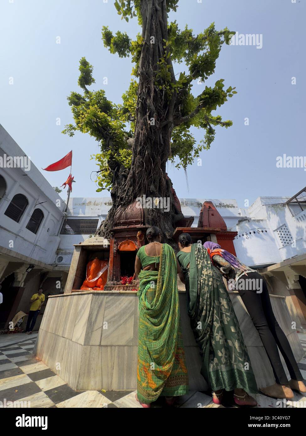 People in traditional dress stand praying in front of a tree in the ...