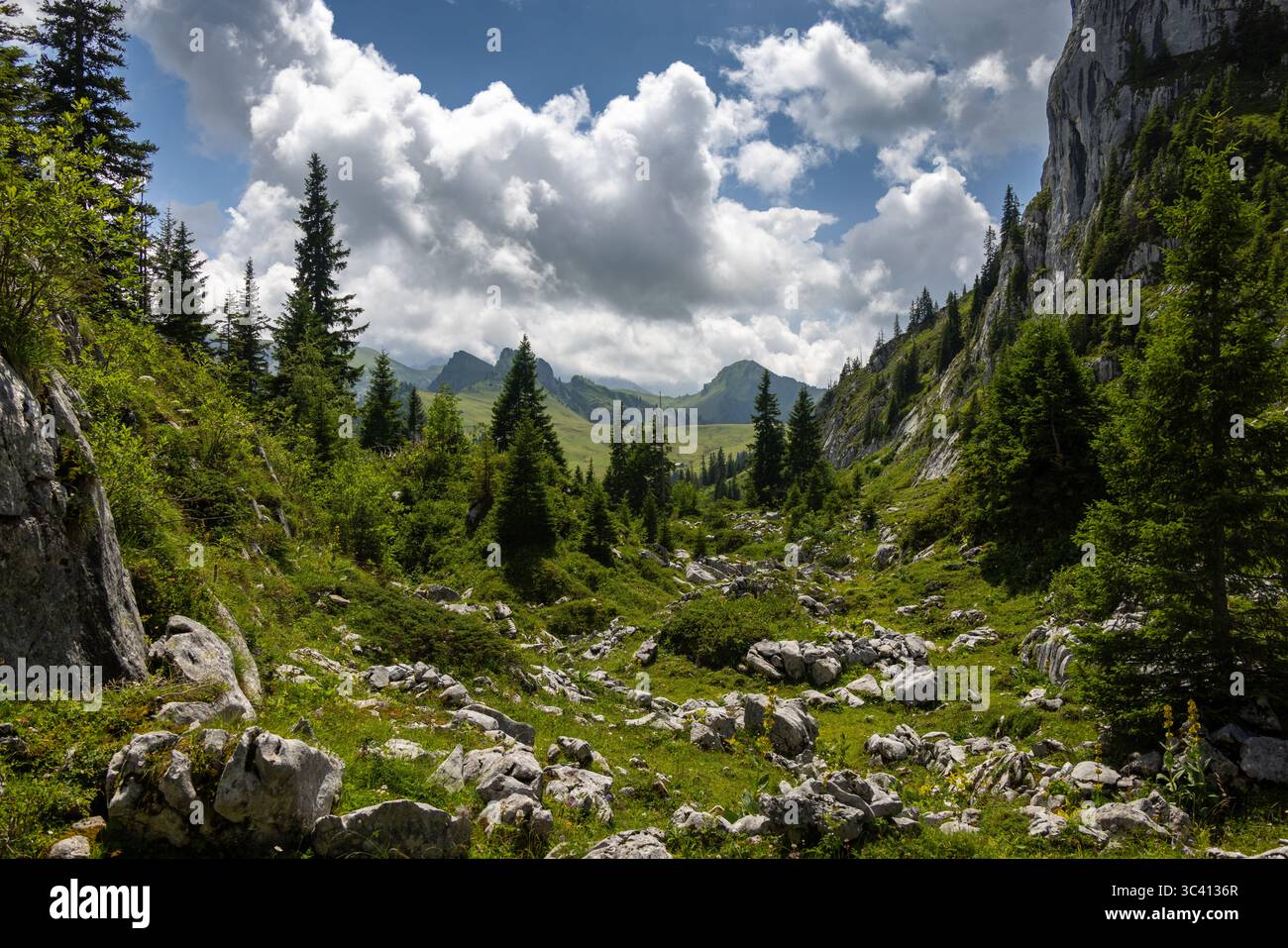 This scenic photograph captures a vibrant green valley nestled within ...