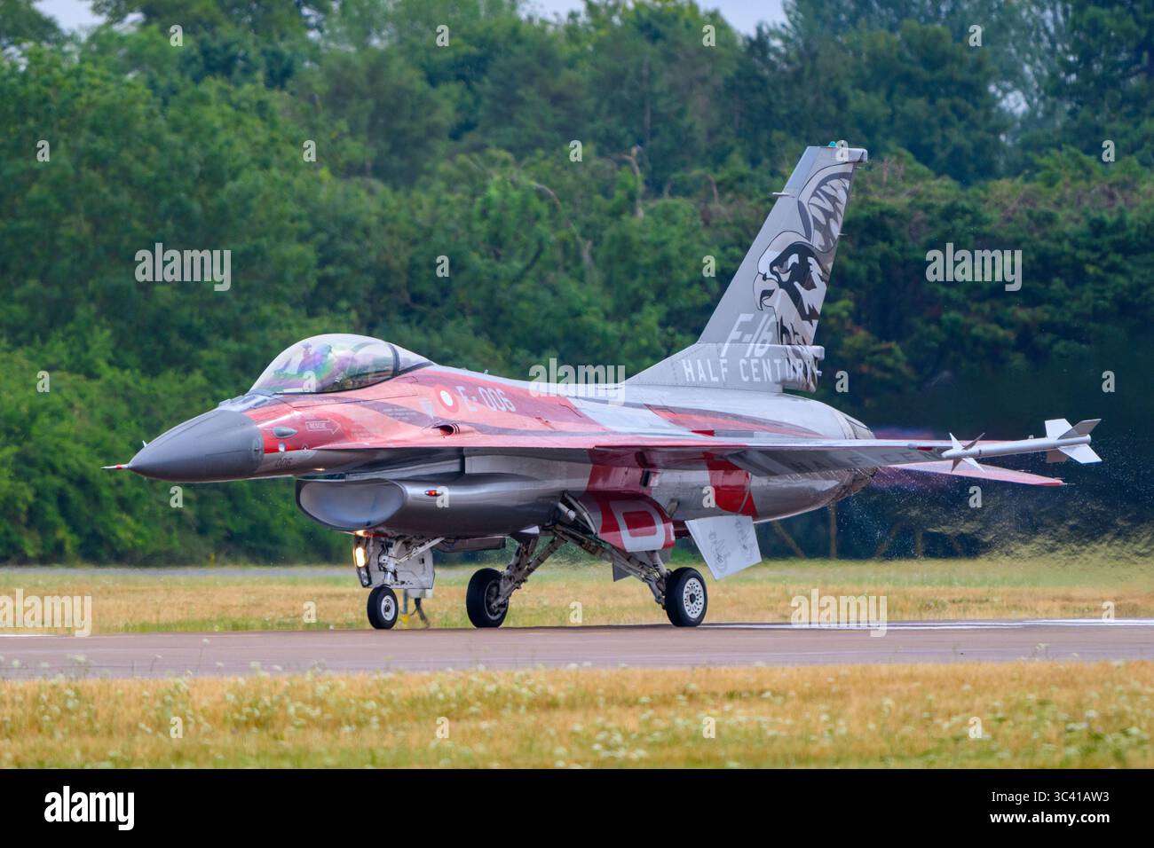 Royal Danish Air Force F-16 fighter jet Stock Photo - Alamy