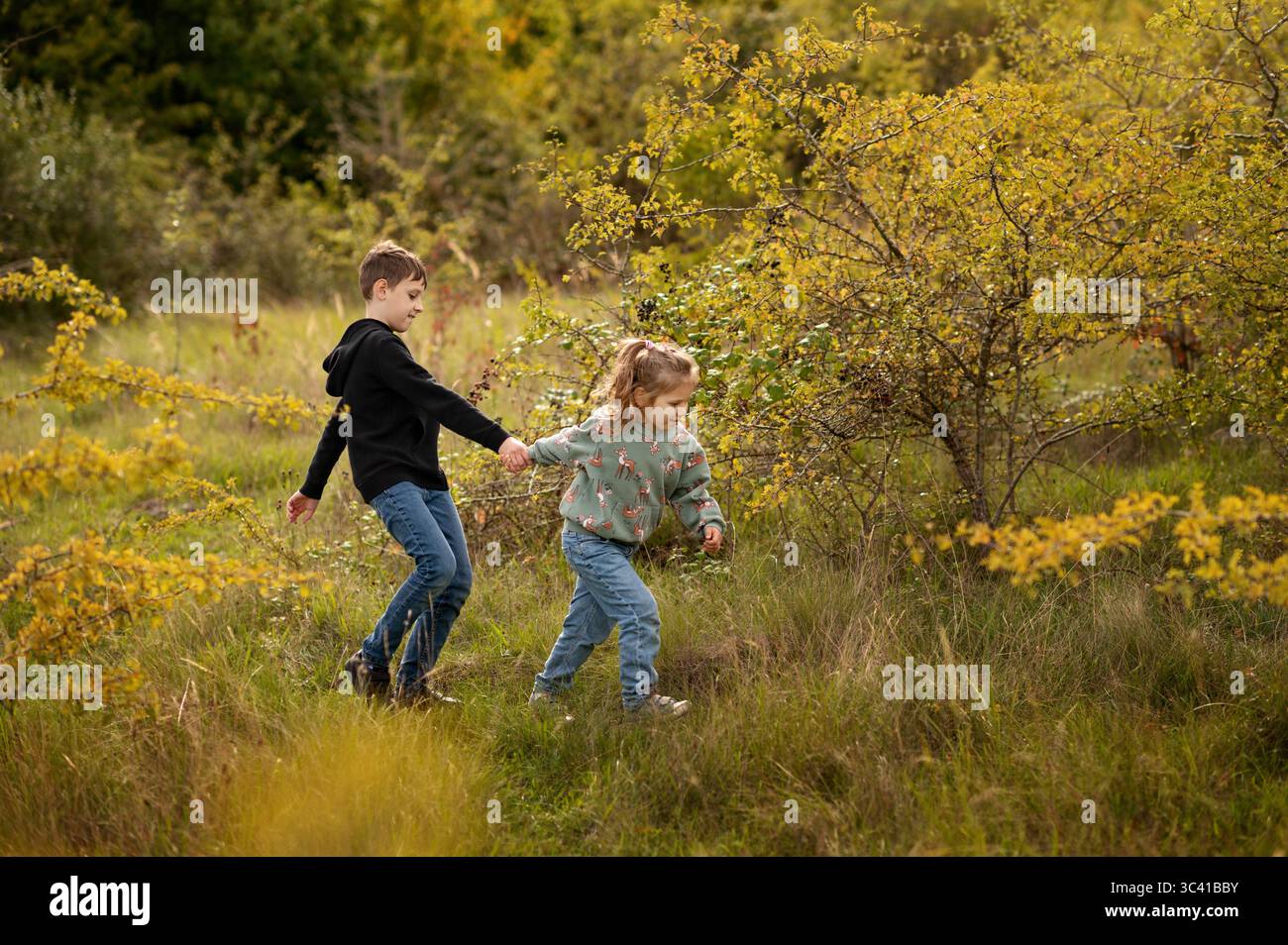 Kids playing tug hands hi-res stock photography and images - Alamy