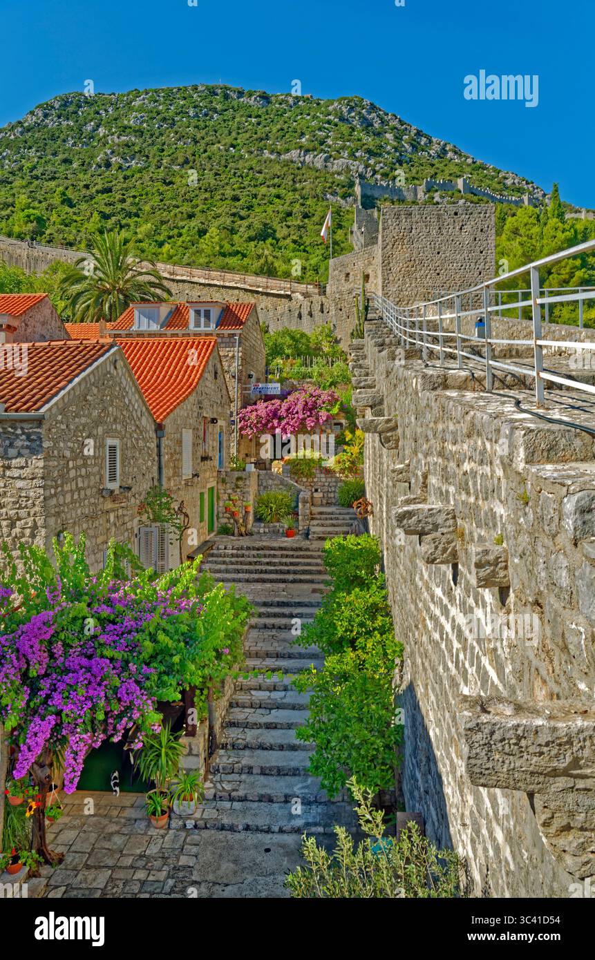 Walled town ston croatia hi-res stock photography and images - Alamy