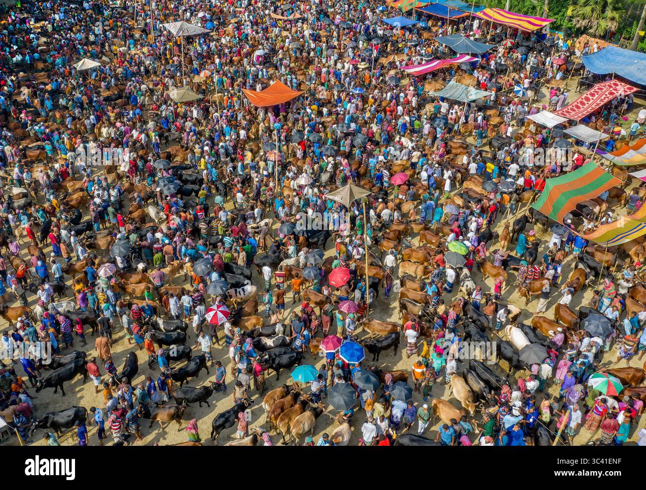 Aerial view of a vibrant animal market teeming with people and ...