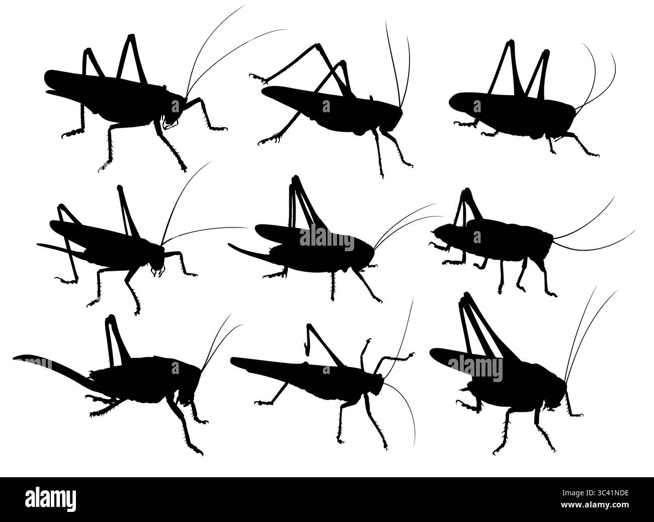 The Set of silhouettes of a locust Stock Vector Image & Art - Alamy