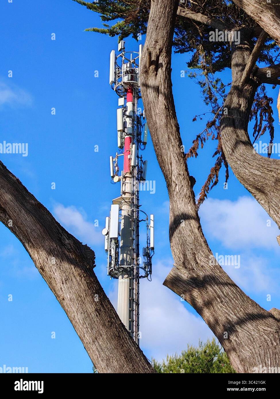 cell tower and antennas in a mobile or cellular network in the ...