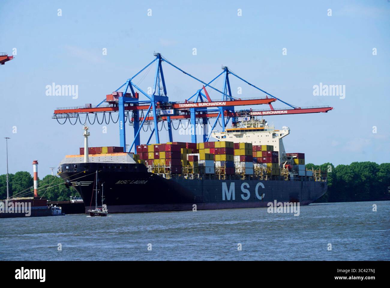 cntv MSC Laura Containerschiff liegt zum Be und Endladen Verlade Krahne ...
