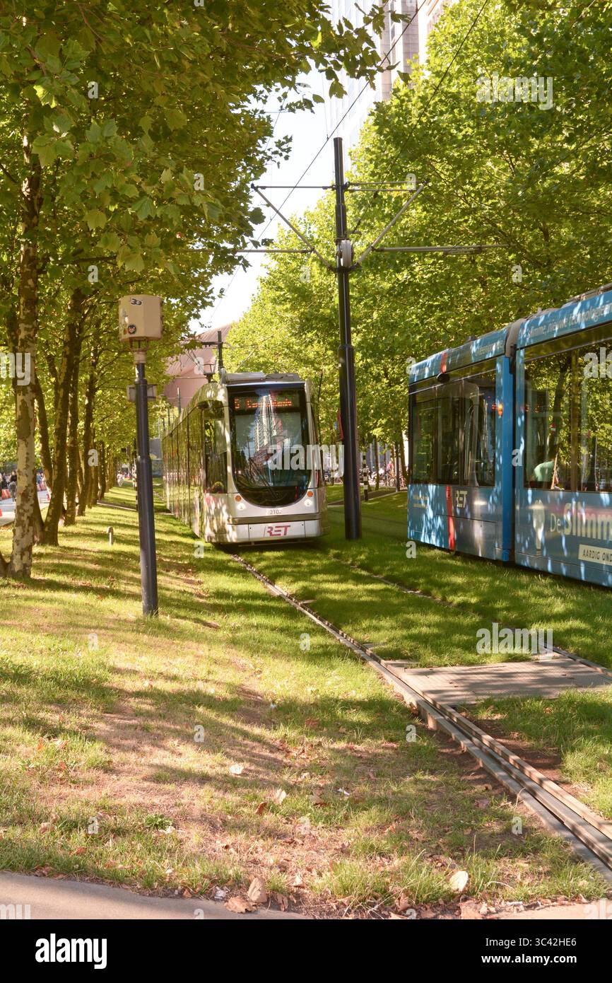 Trams passing each other on the tree lined tran lines near to the ...