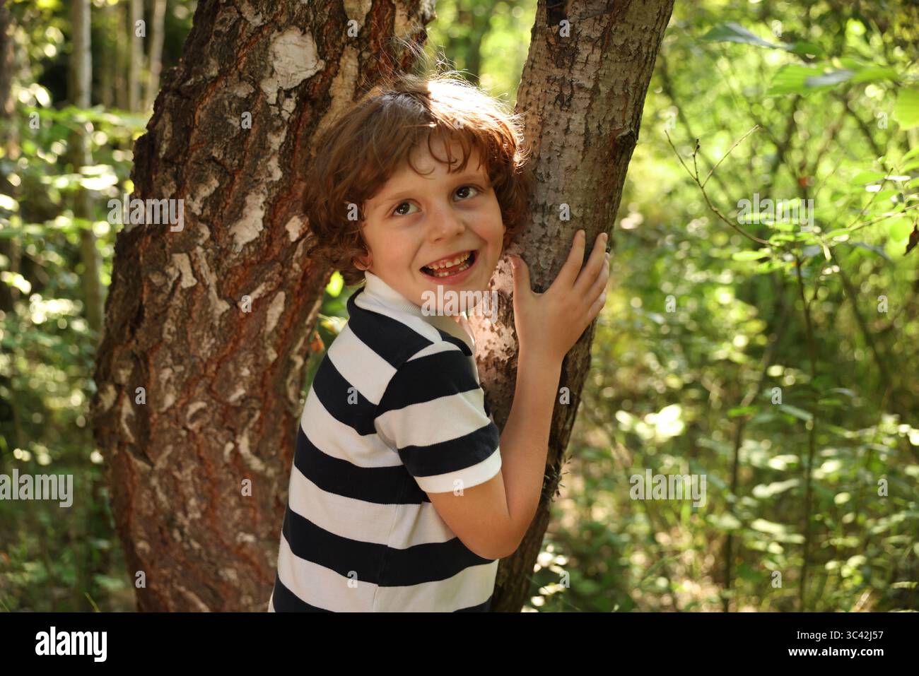 Cute little boy near tree in nature Stock Photo - Alamy