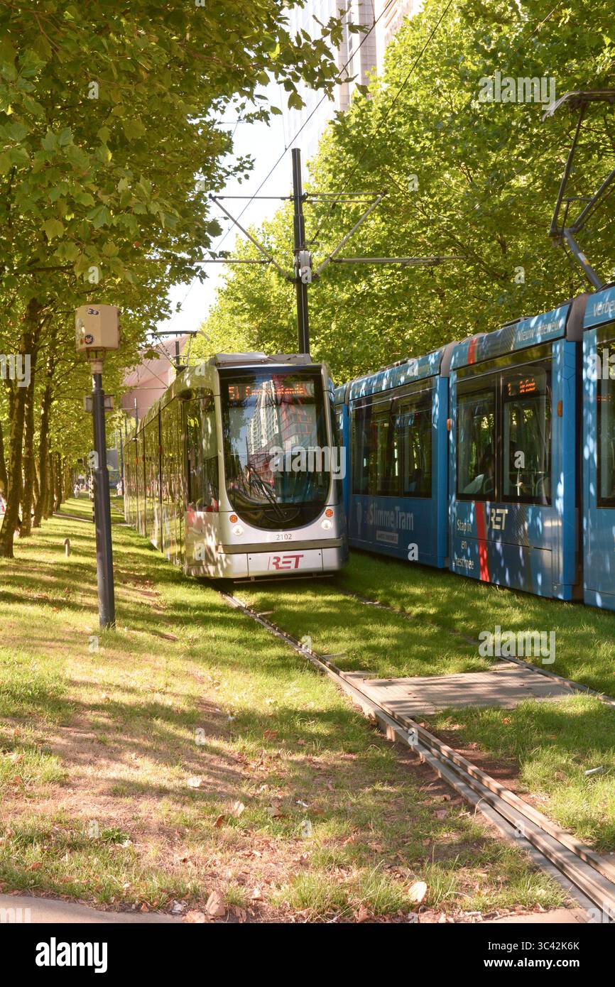 Trams passing each other on the tree lined tran lines near to the ...