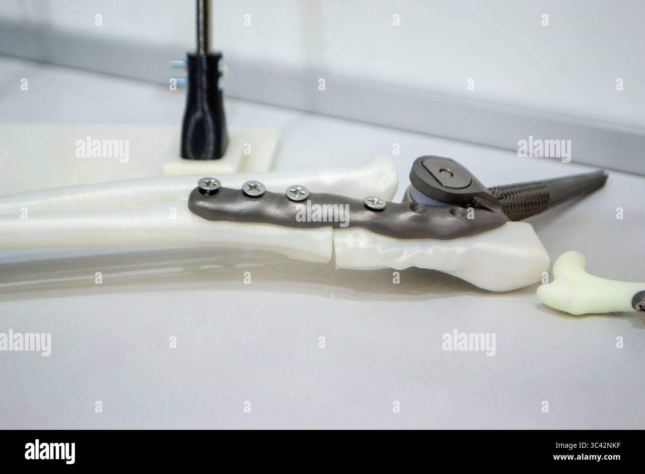 Specific anatomical detail hi-res stock photography and images - Alamy