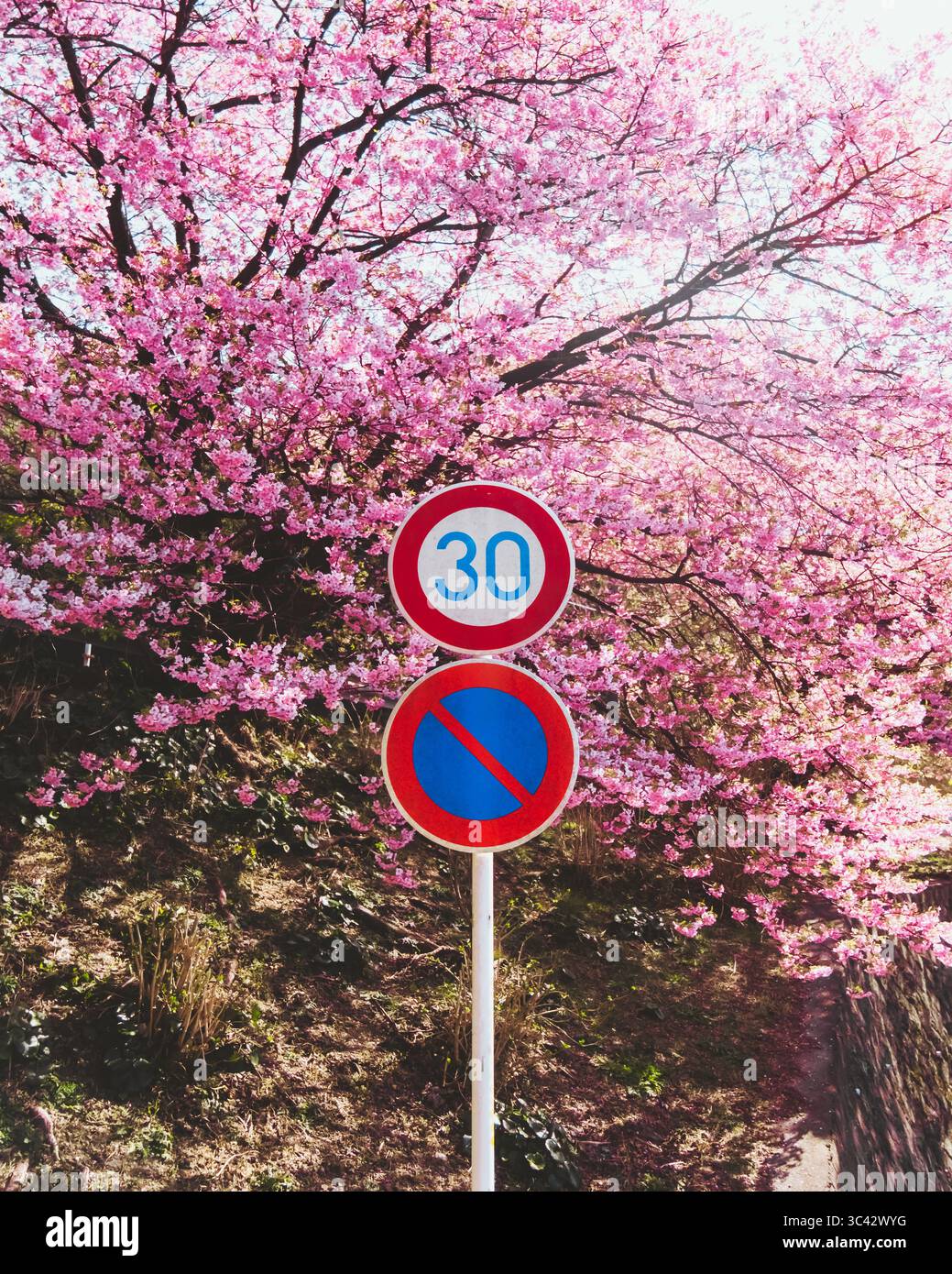 Beautiful shot speed limit hi-res stock photography and images - Alamy
