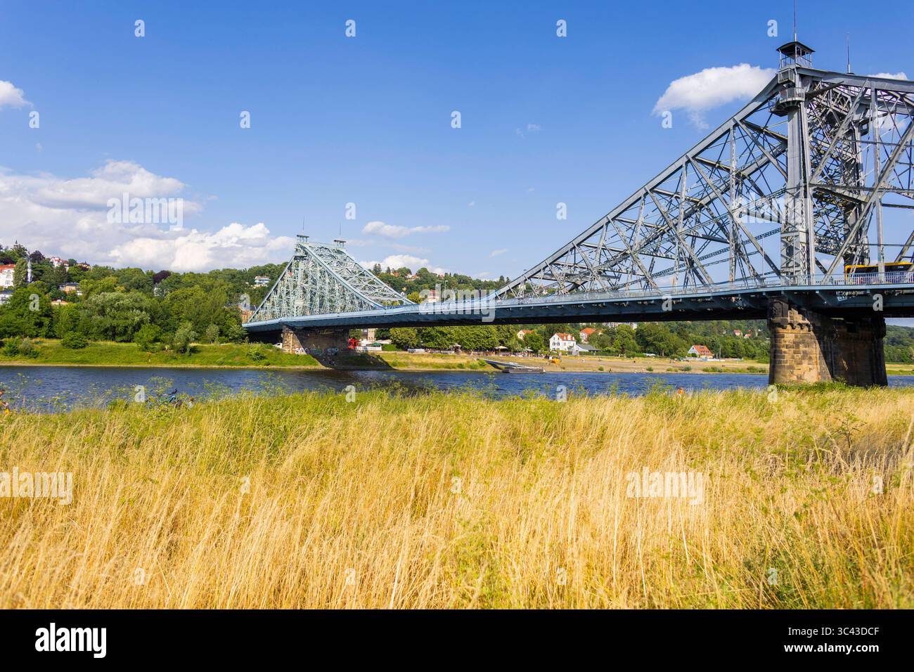 Dresden Dresden Blaseitz, Elbbrücke Blaues Wunder mit Elbwiesen ...