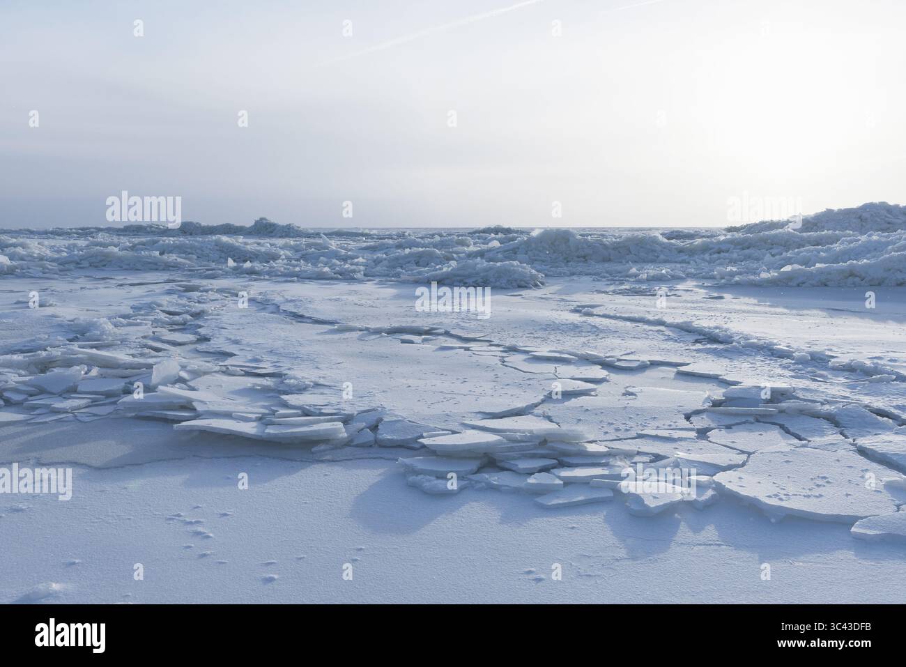 Vast frozen seascape featuring cracked white ice hummocks under a calm ...