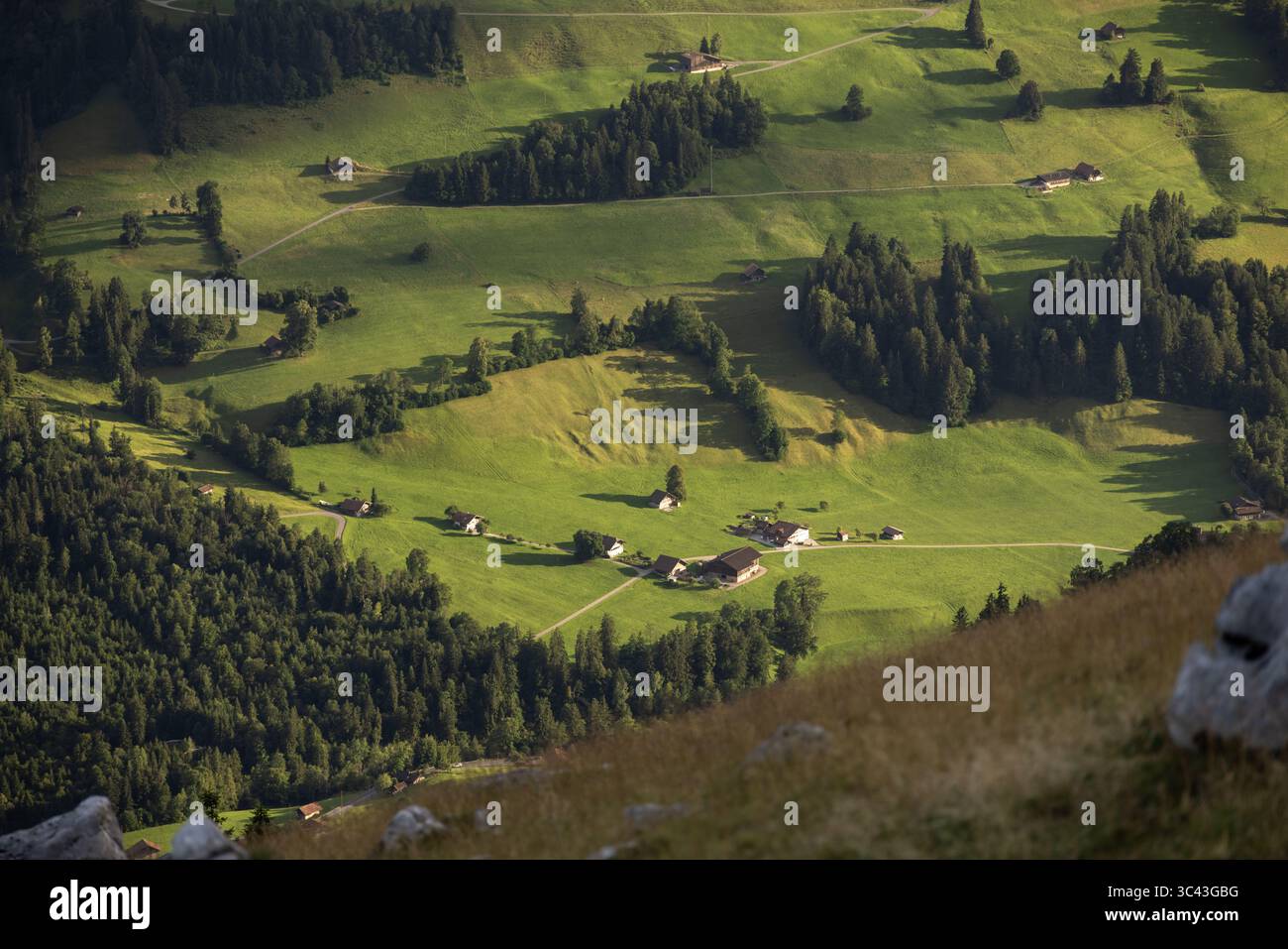 An aerial view showcases a picturesque village nestled within a lush ...