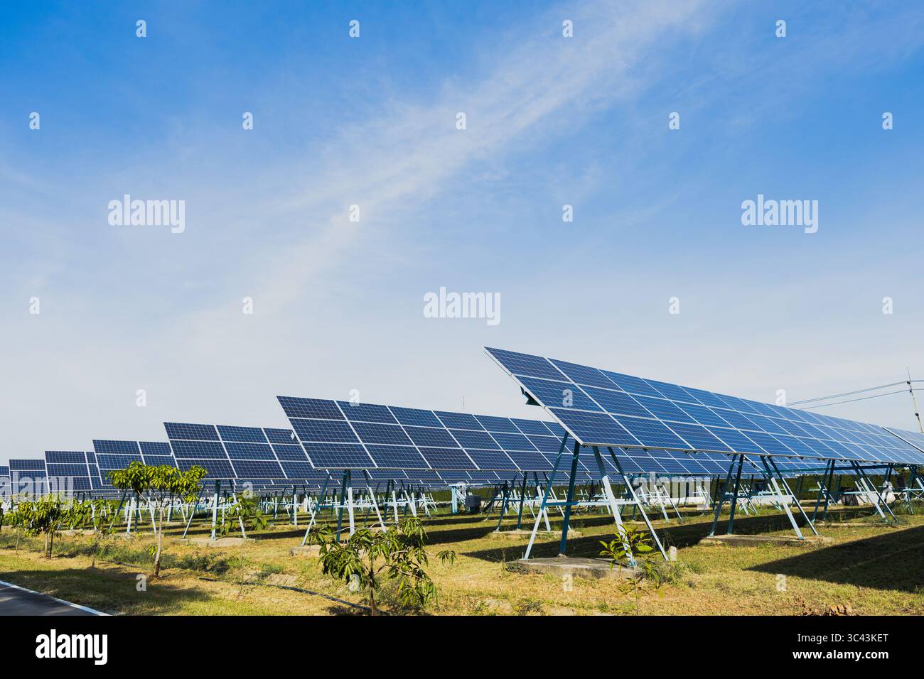 solar panels photovoltaics in solar farm Stock Photo - Alamy