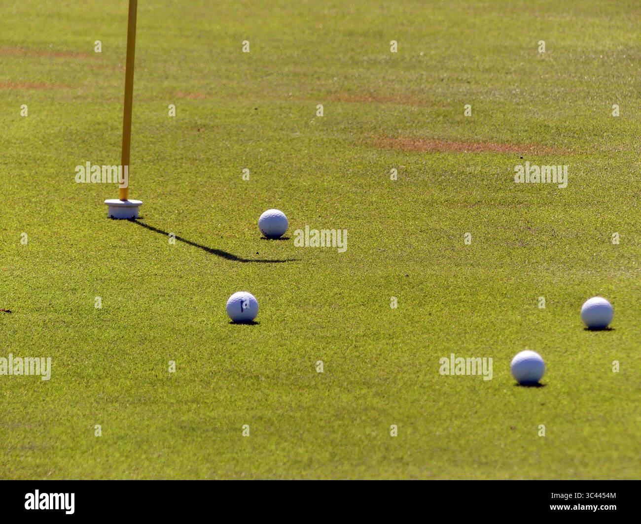 I win my life hi-res stock photography and images - Alamy