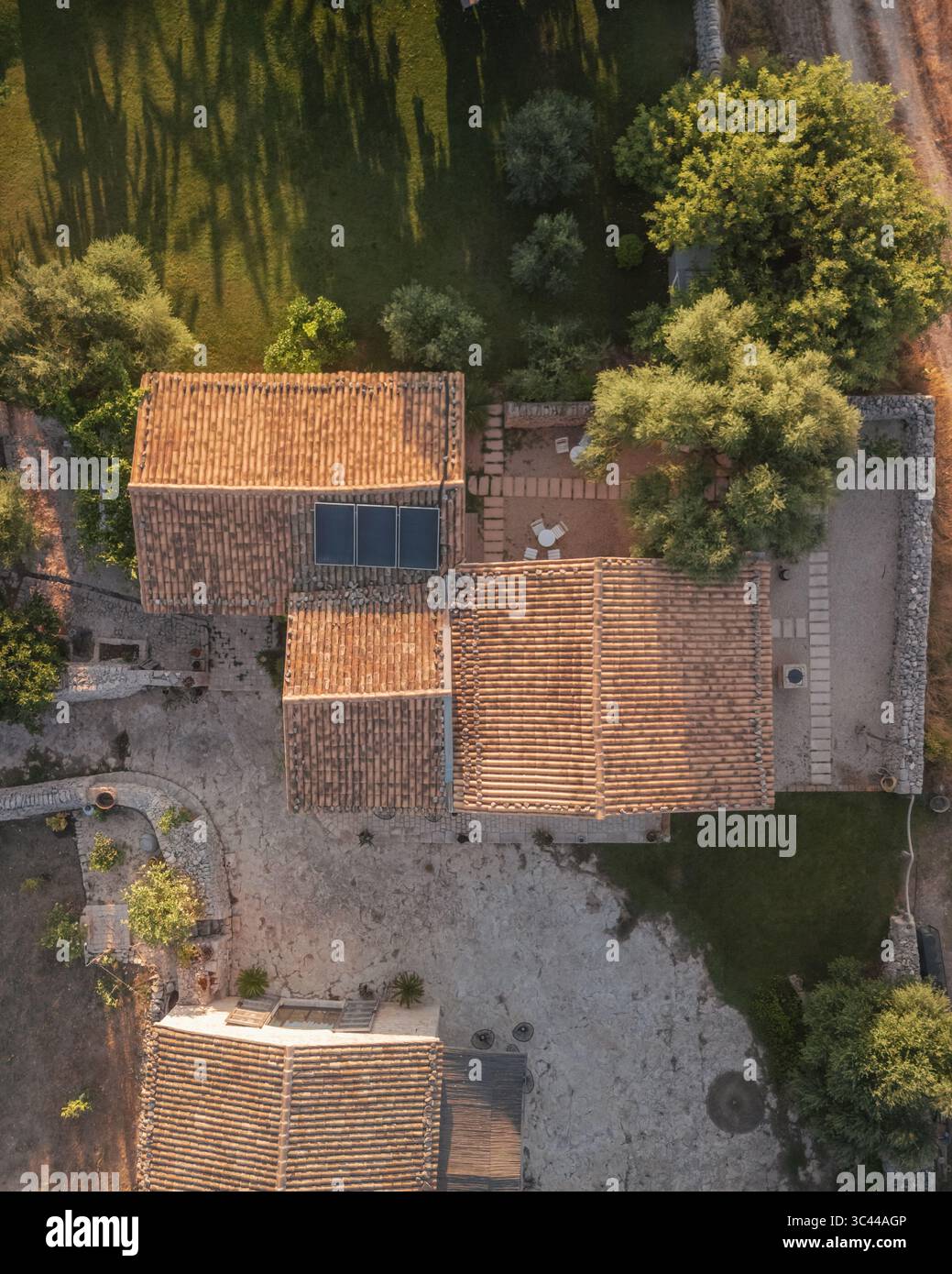 Aerial view of sun-kissed rooftops nestled between verdant trees ...