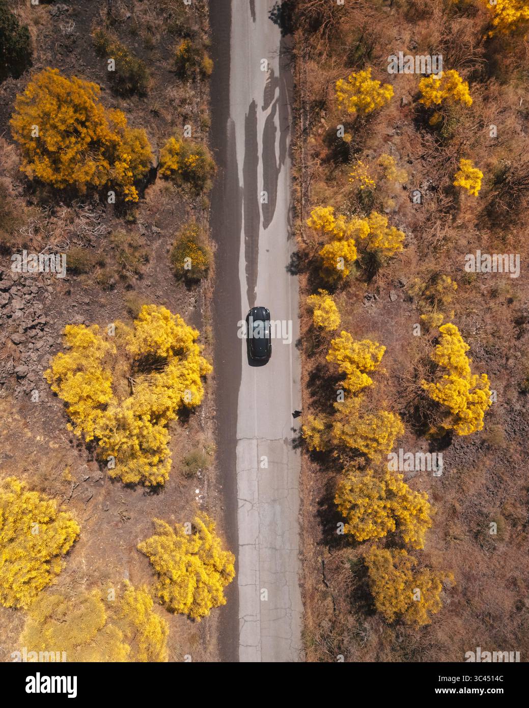 Aerial view of a lone car traverses a stark asphalt road, flanked by ...