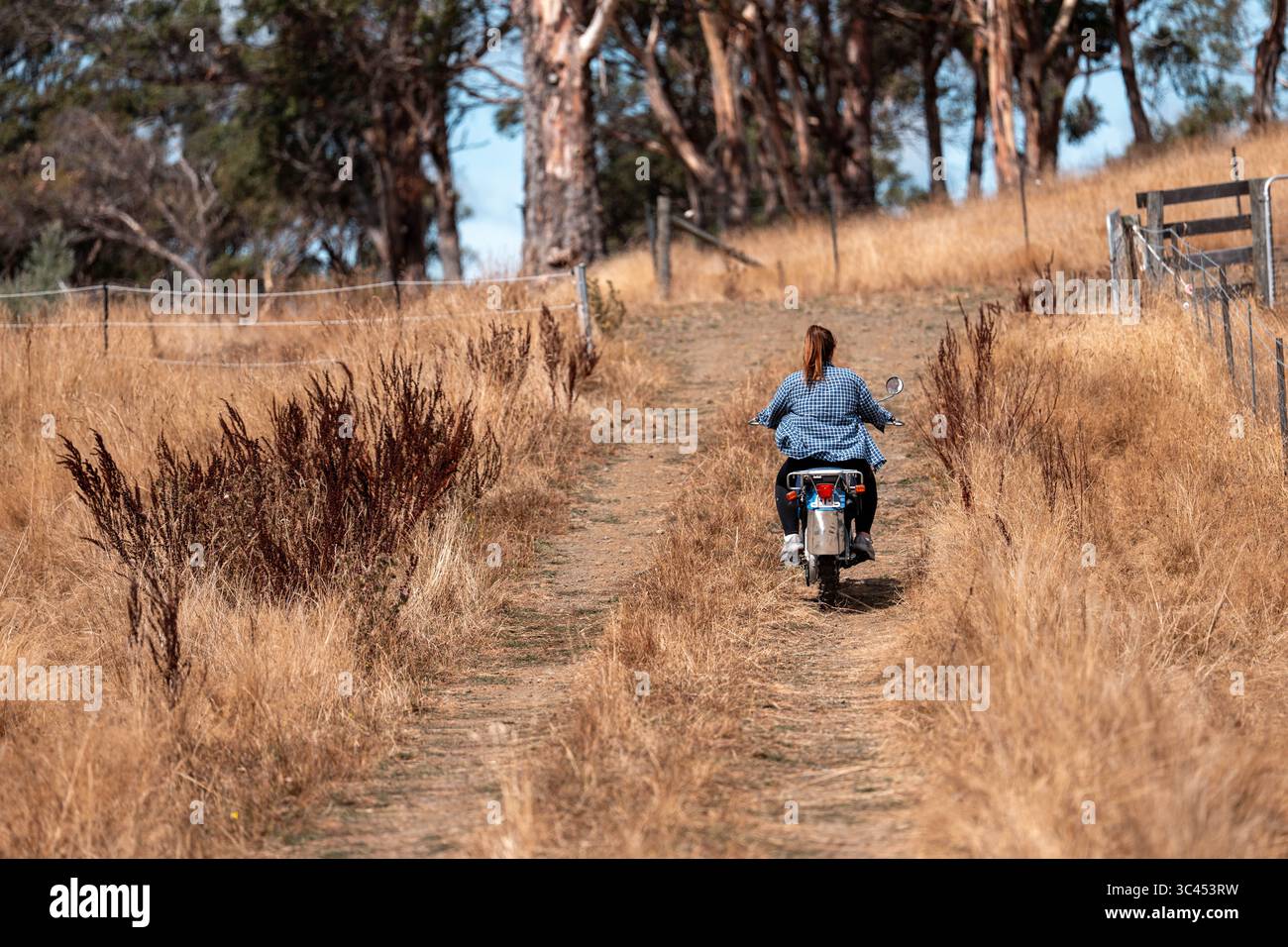 female working in agriculture. girl riding a motorbike on a farm in ...
