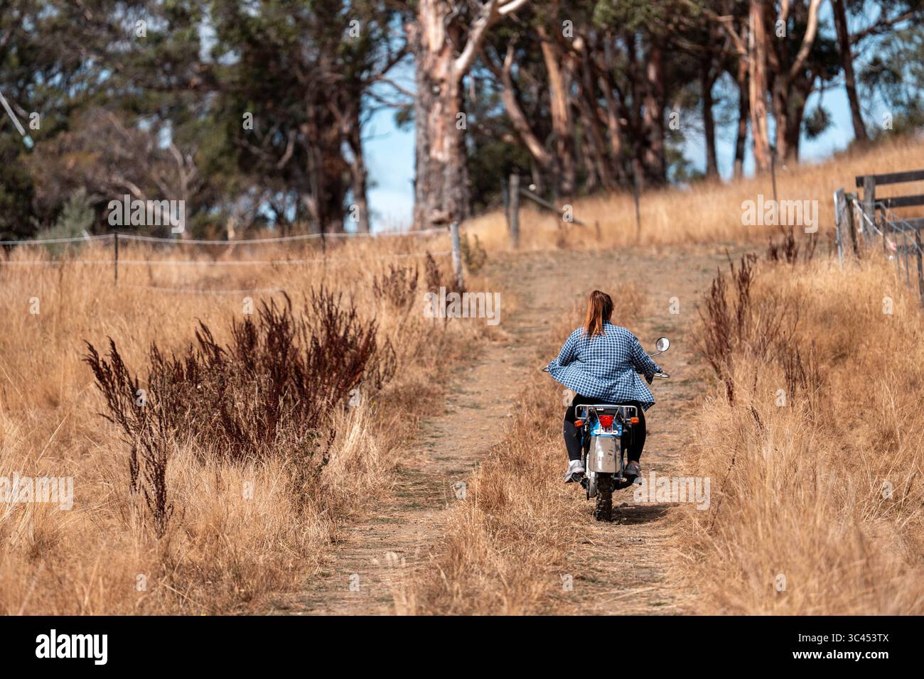 female working in agriculture. girl riding a motorbike on a farm in ...