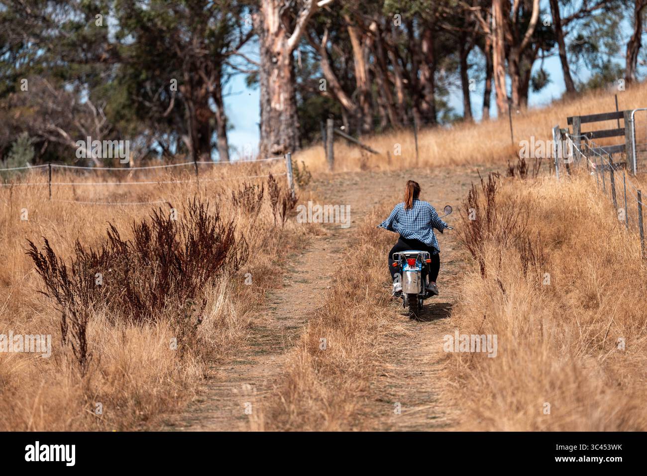 female working in agriculture. girl riding a motorbike on a farm in ...