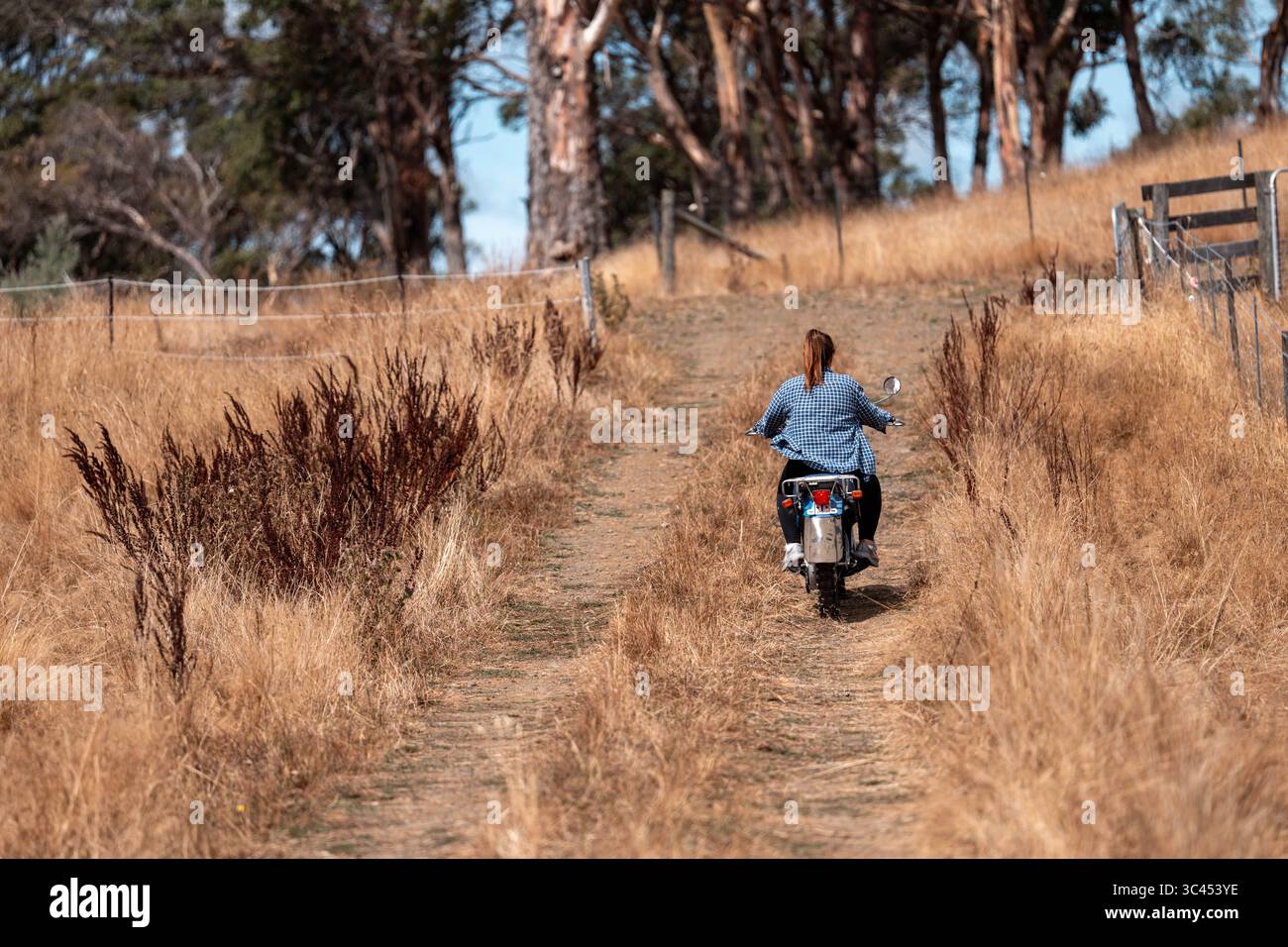 female working in agriculture. girl riding a motorbike on a farm in ...