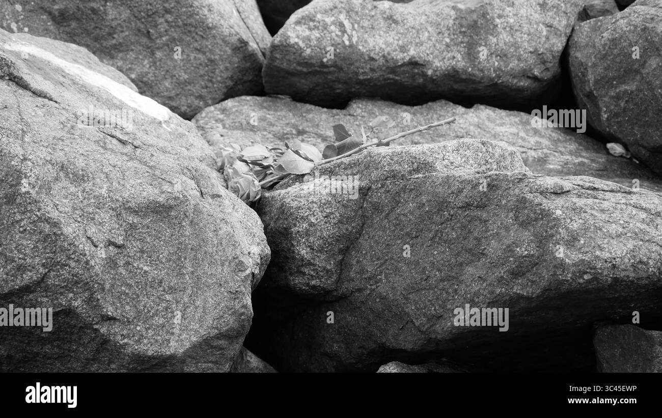 Stones memory Black and White Stock Photos & Images - Alamy