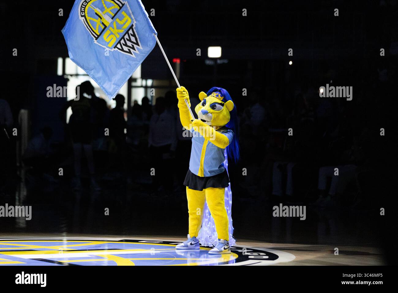 Skye the Lioness waves the team flag before the WNBA regular season ...
