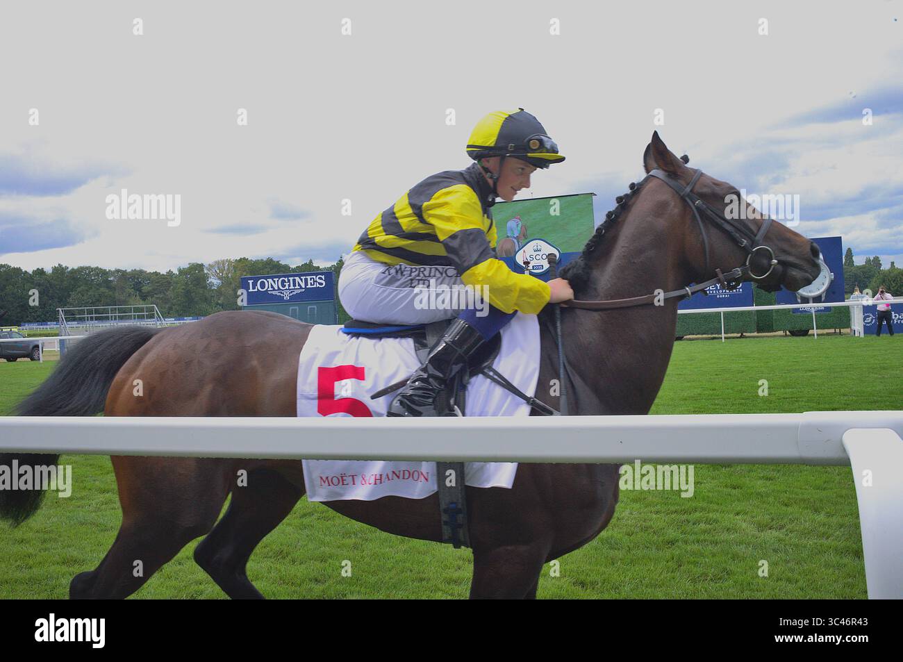 Ten day ban hi-res stock photography and images - Alamy