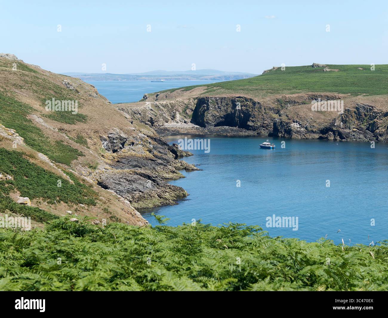 Skomer island ynys sgomer hi-res stock photography and images - Alamy