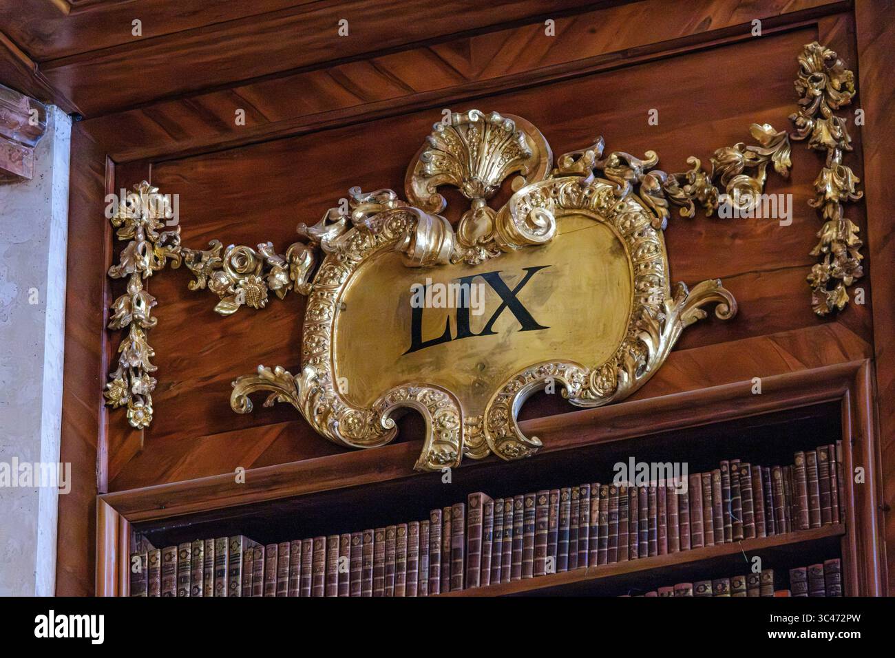 In the Baroque state hall of the Court Library in the Austrian National ...
