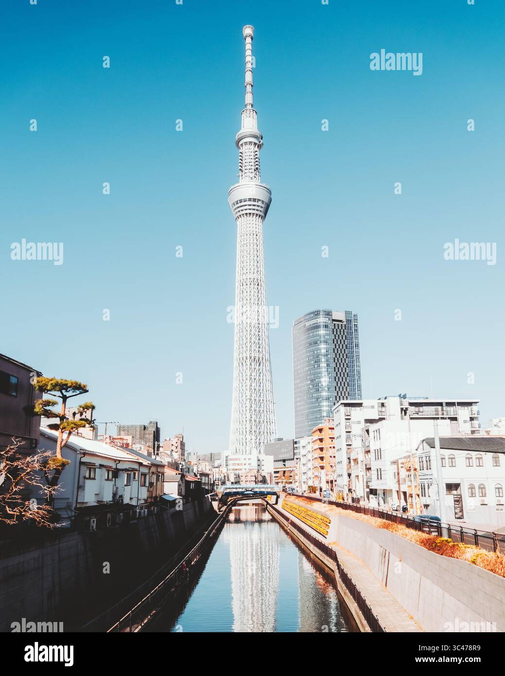 View of the Skytree Tower rising majestically above the canal ...