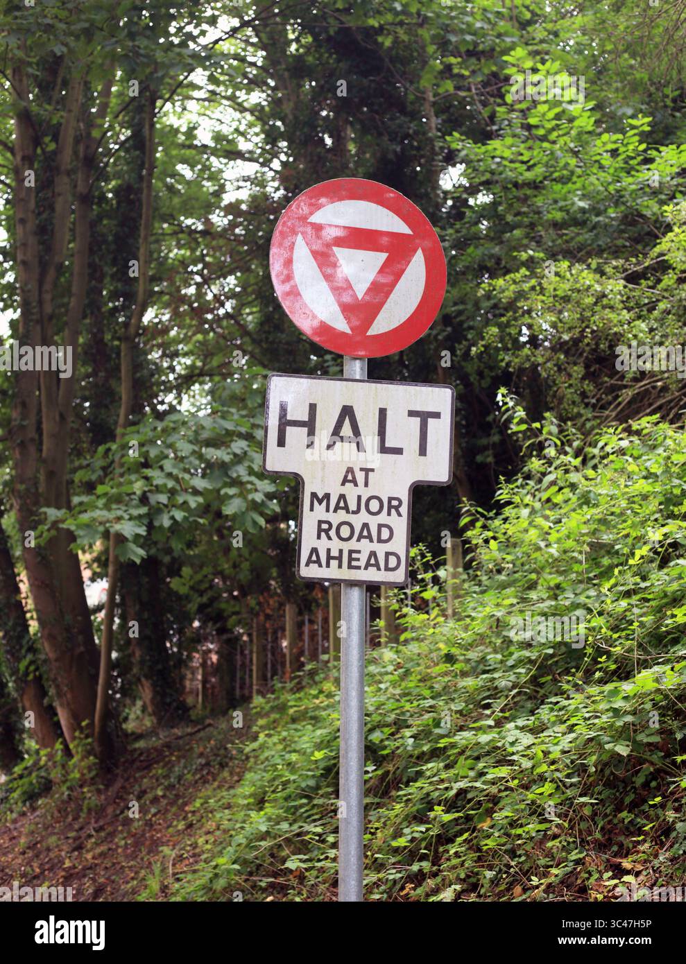 Halt major road ahead sign hi-res stock photography and images - Alamy