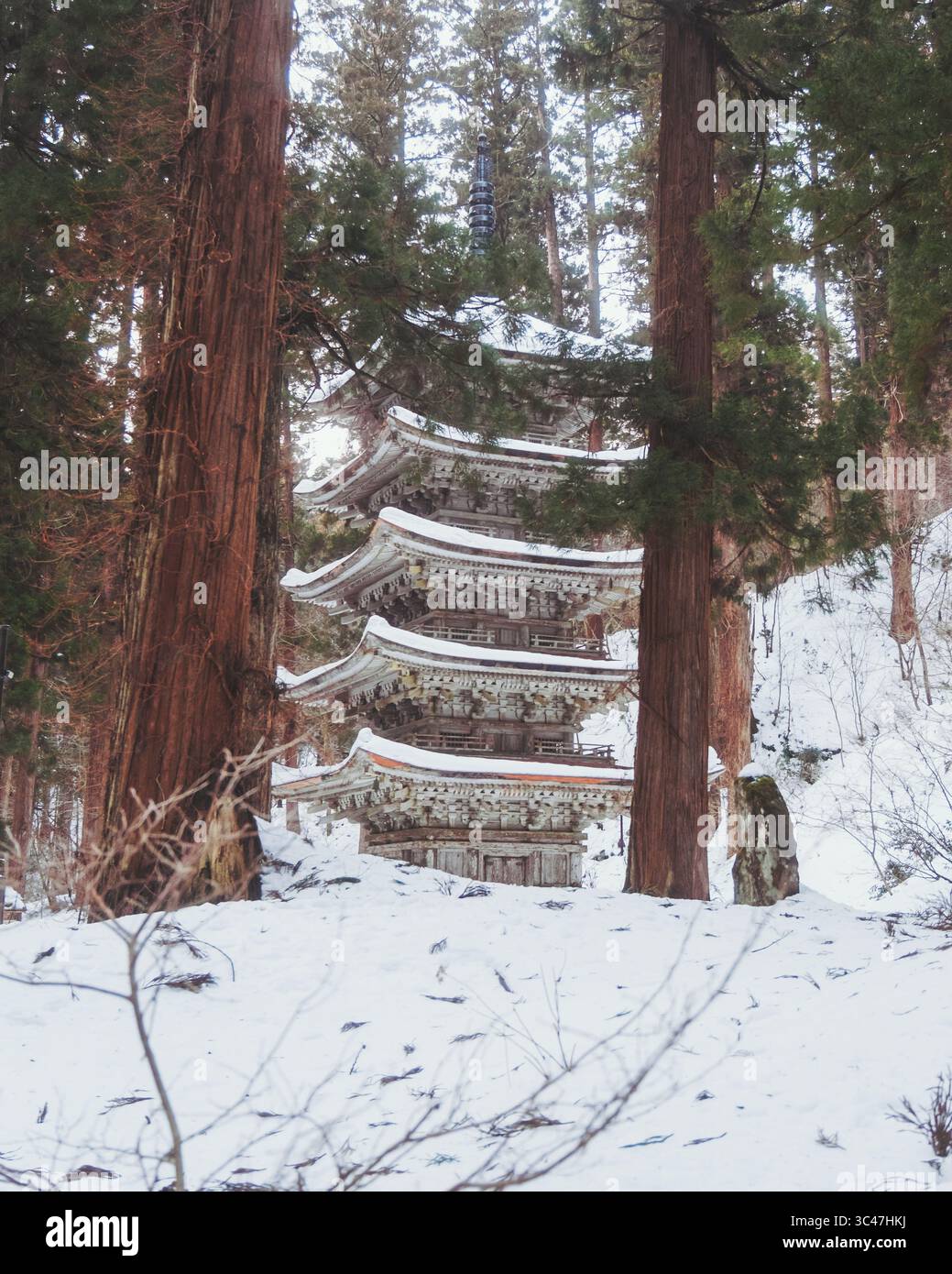 View of a traditional five-story pagoda nestled among snow-covered ...