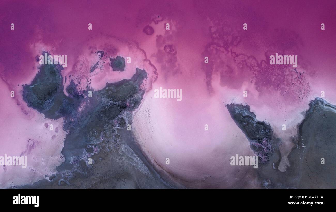 Aerial view of the vivid pink waters of Lemurian Lake contrast sharply ...