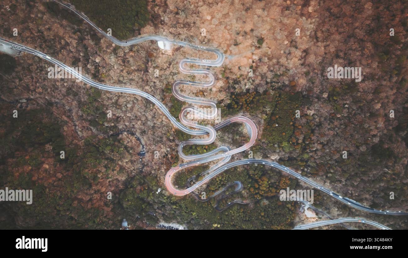 Aerial view of a winding road snaking through a forest, its curves contrasting with the ...