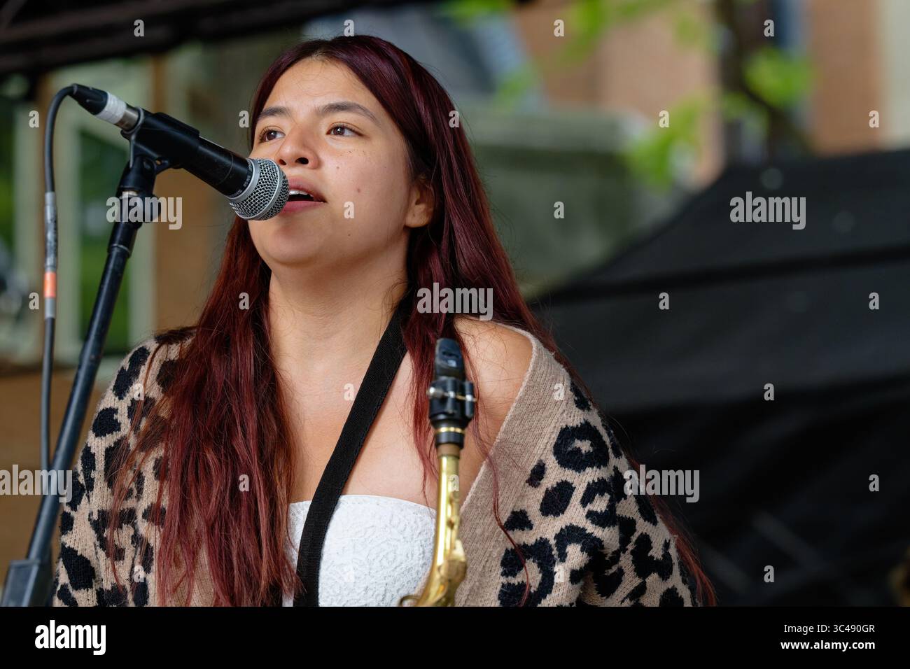 High tide band hi-res stock photography and images - Alamy