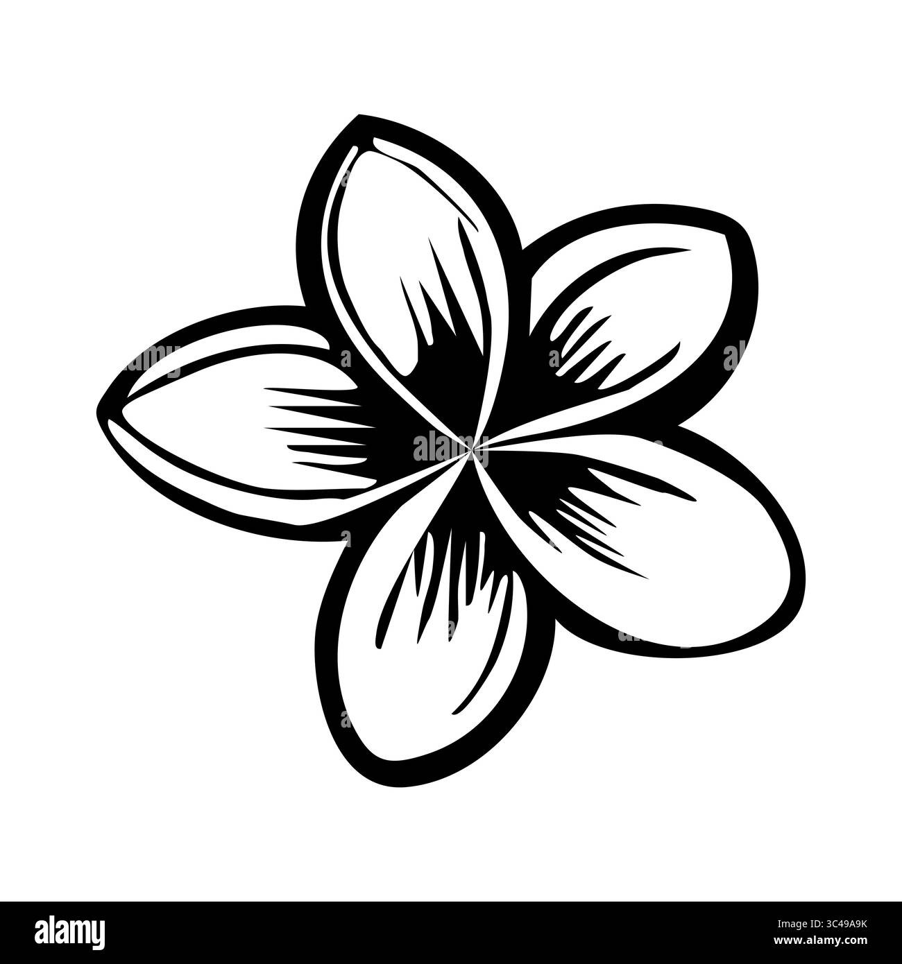 Five tropical summer flowers Cut Out Stock Images & Pictures - Alamy