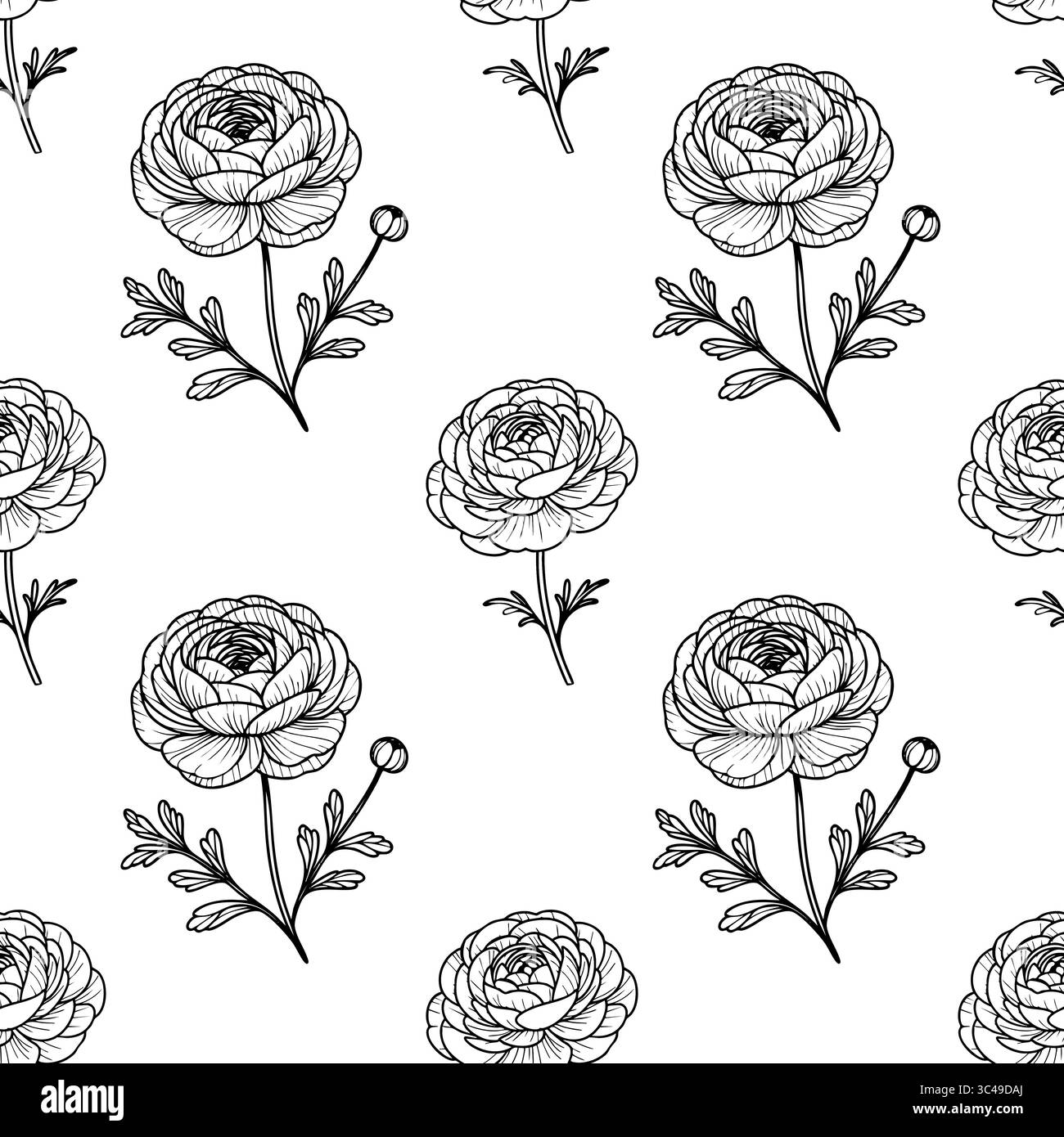 Beautiful delicate buds spring flowers Black and White Stock Photos ...