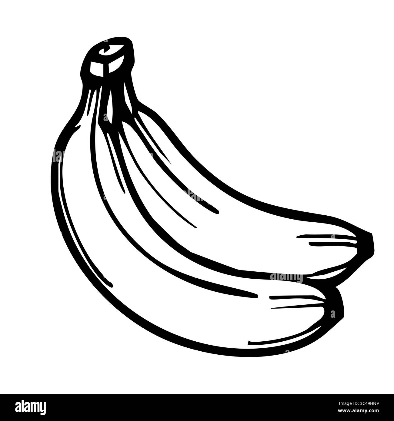 Black and white vector illustration of two bananas with a simple ...