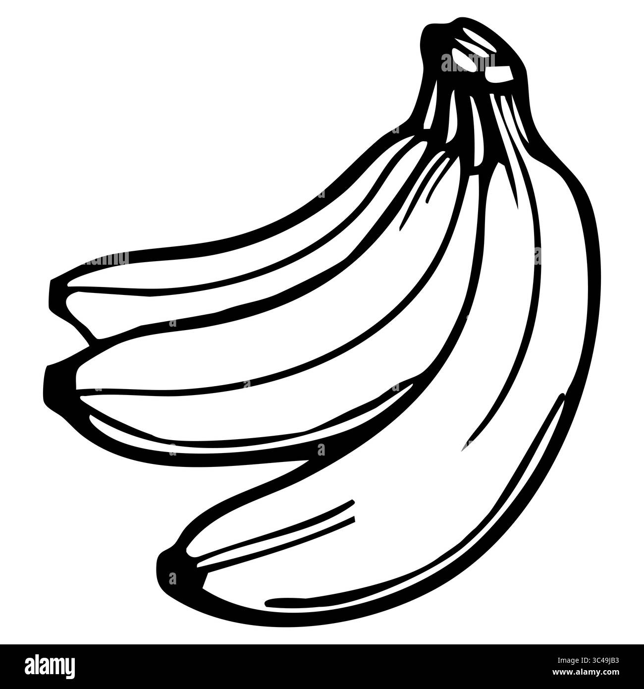 Vector drawing monstera palm Cut Out Stock Images & Pictures - Alamy