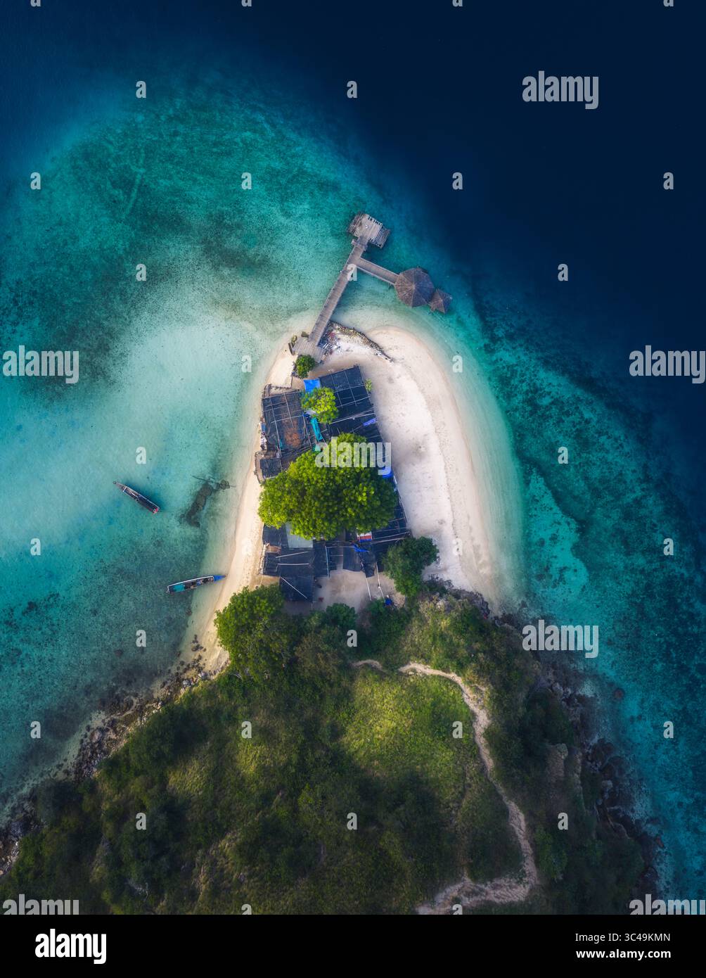 Aerial view of a tropical island with a vibrant green canopy juxtaposed ...