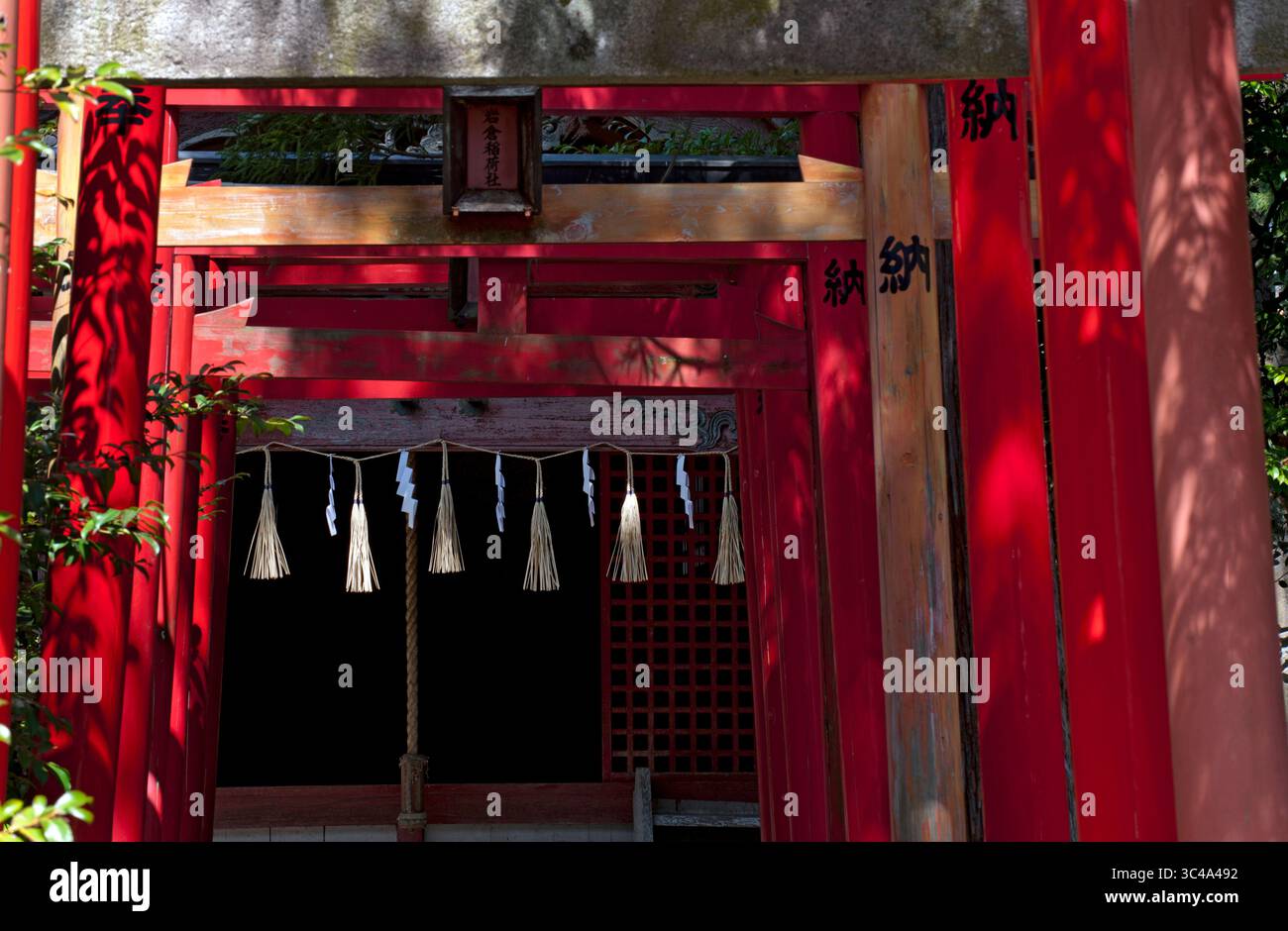 Multiple torii gates and sacred twisted rope "shimenawa" at Iwakura ...