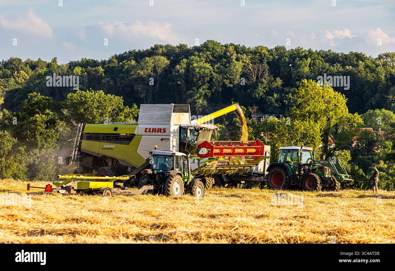 Glattfelden, Switzerland, 5th July 2025: A Claas combine harvester ...