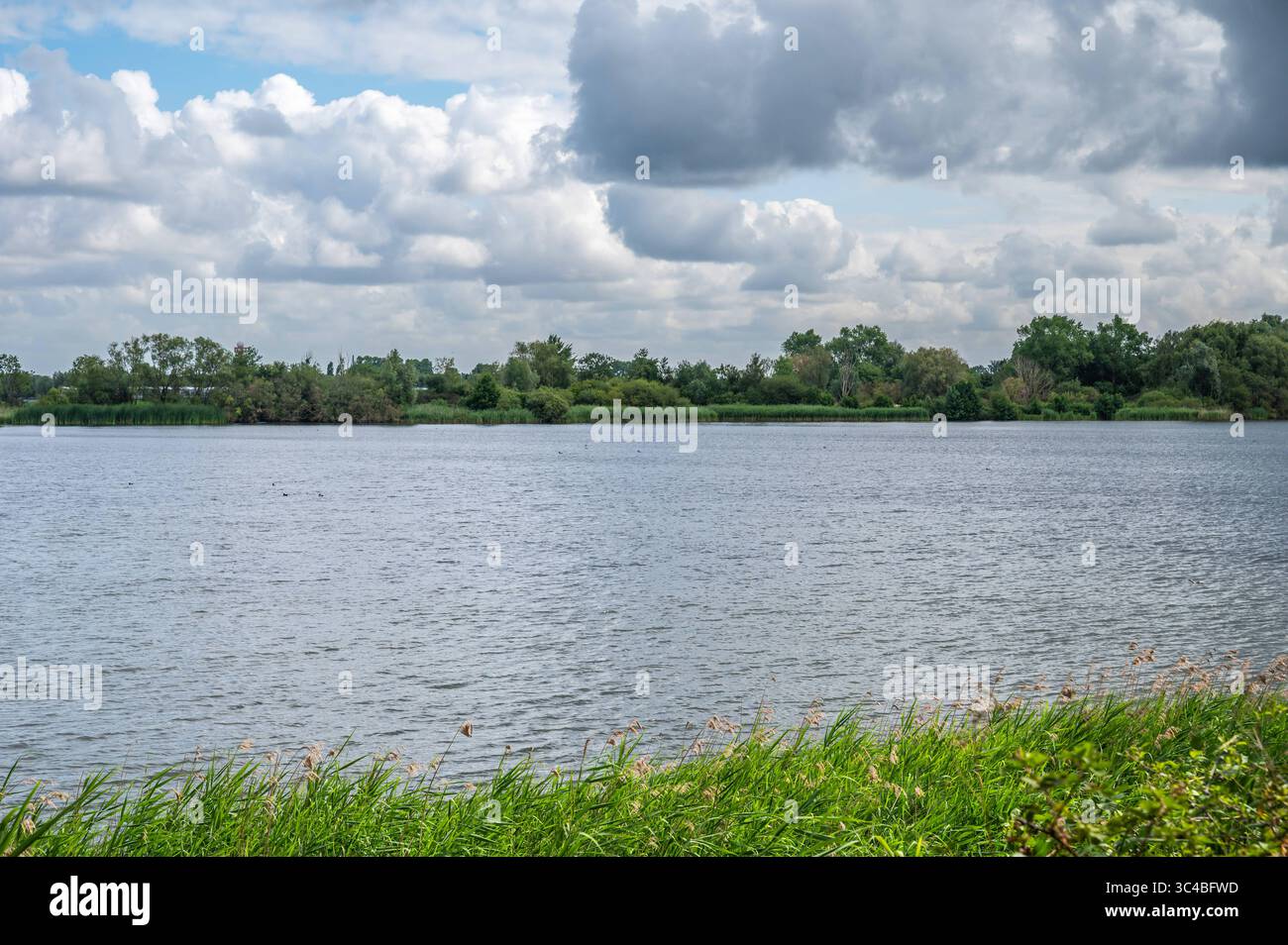 Nature reserve De Hoge Dijken, a water pond surrounded with nature and ...