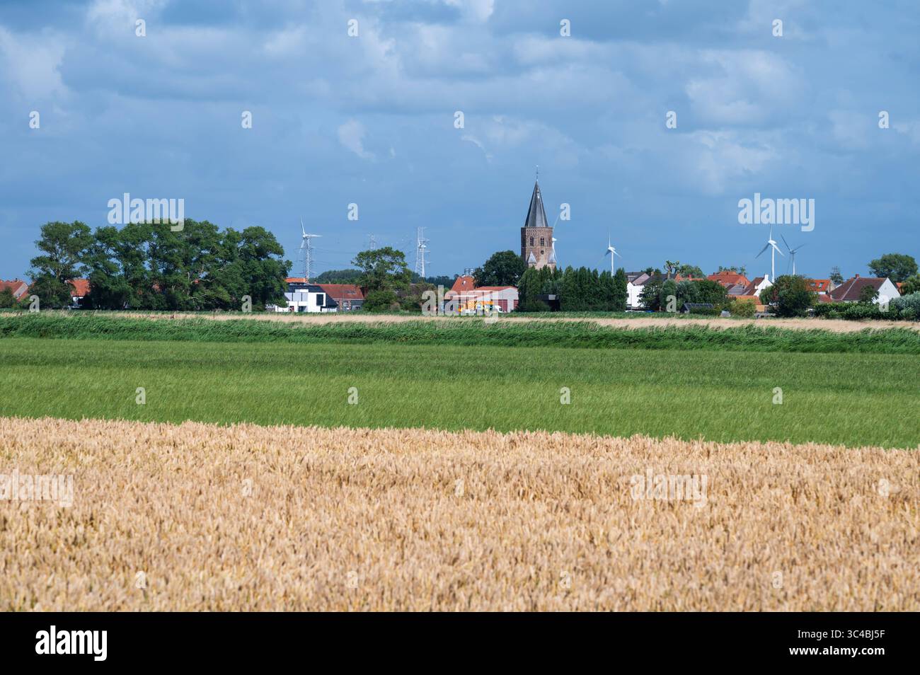 Wheat fields and the village of Zuienkerke in the background, West ...