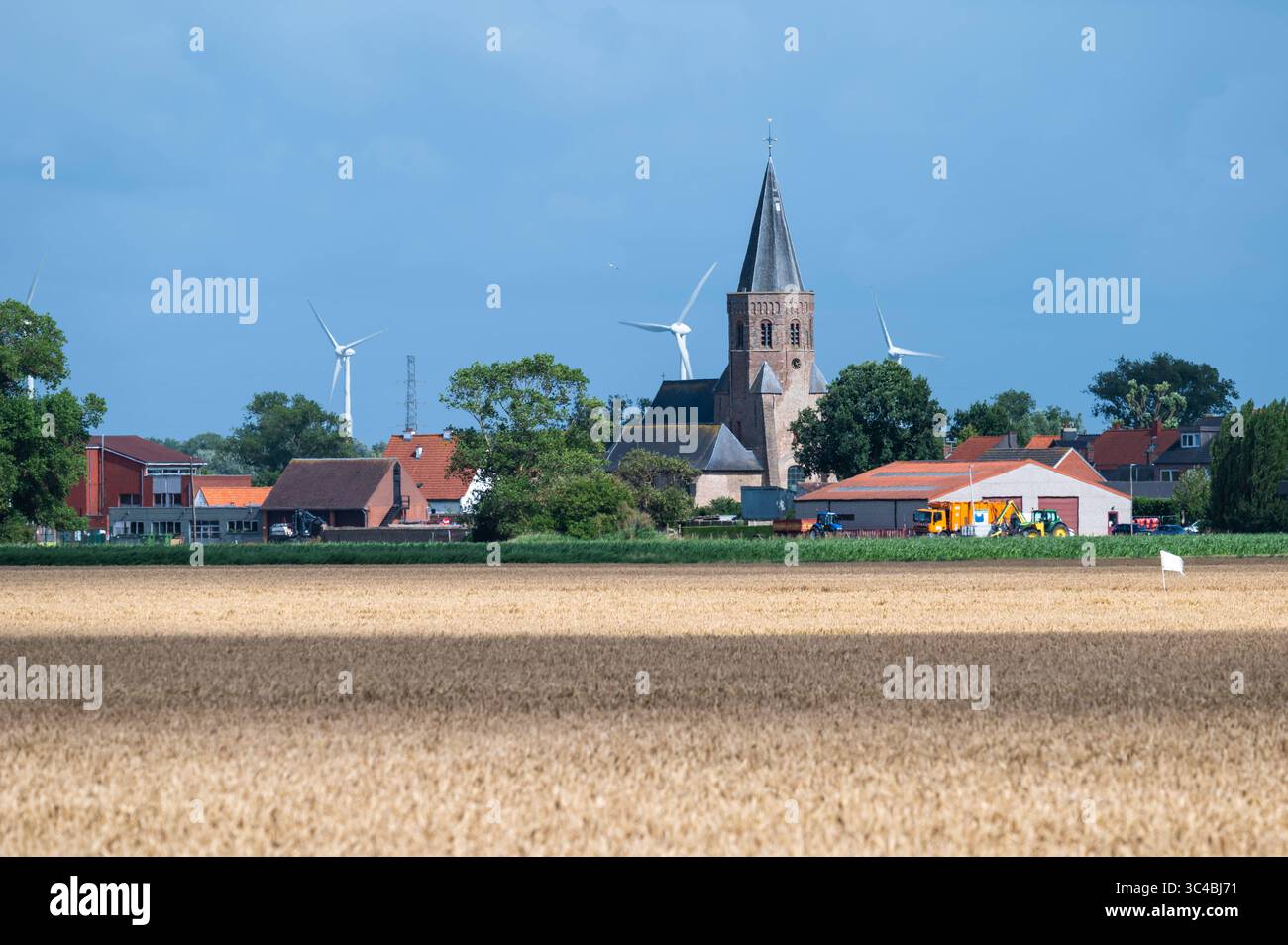 Wheat fields and the village of Zuienkerke in the background, West ...