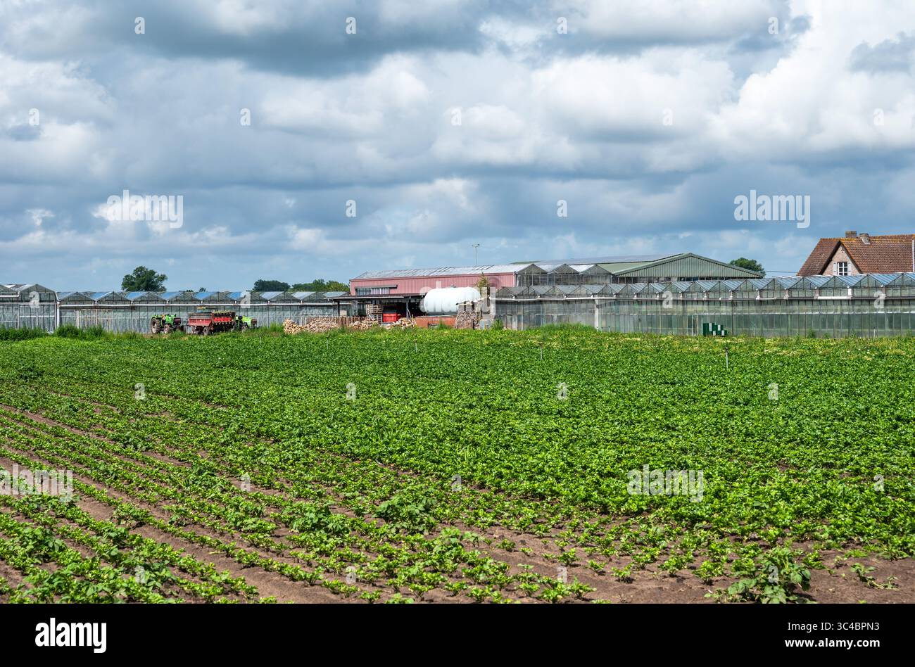 Agriculture fields at the Flemish countryside around Roksem, West ...