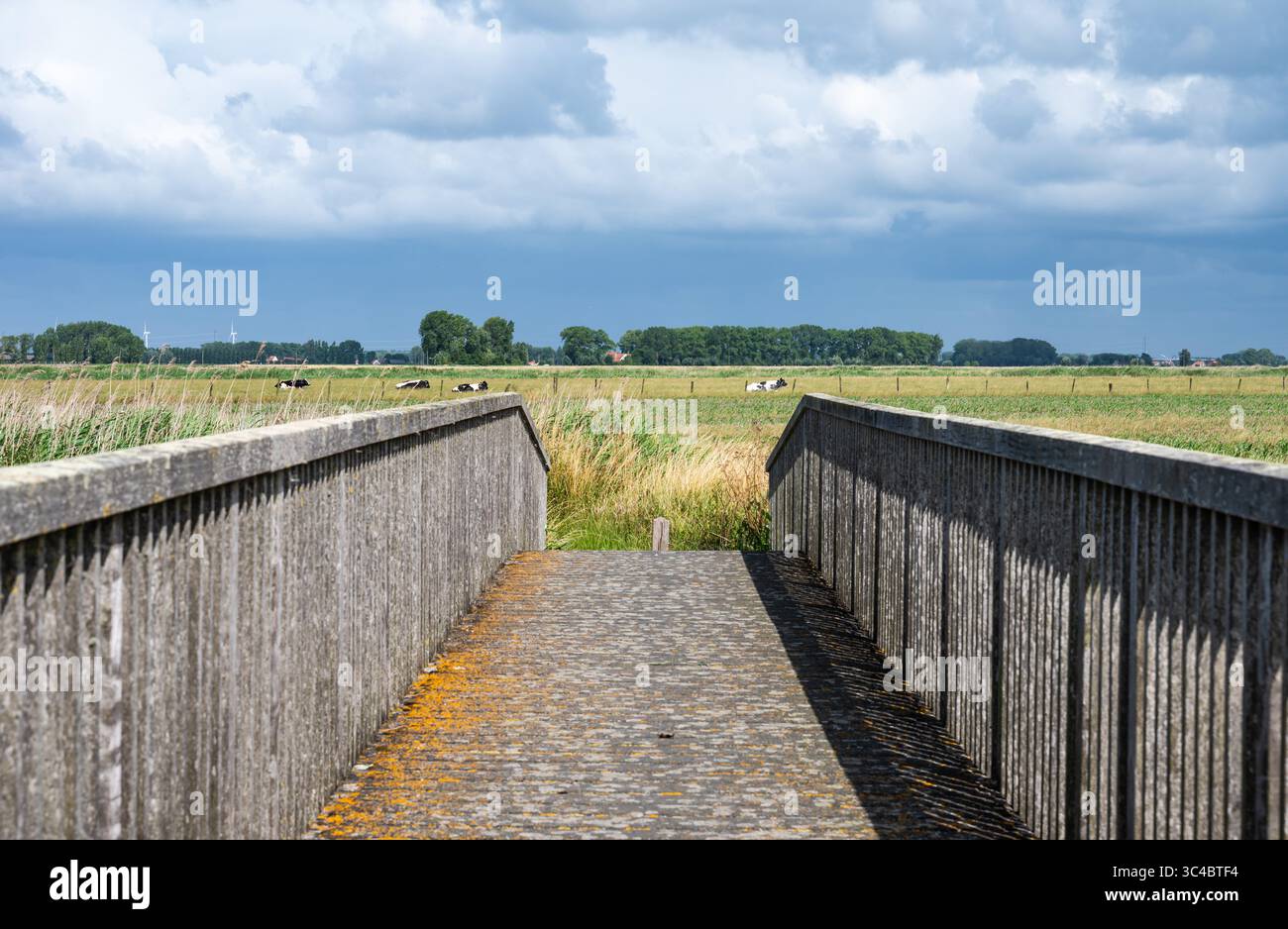 Perspective view over wooden bridge at the Uitkerkse Polders in ...