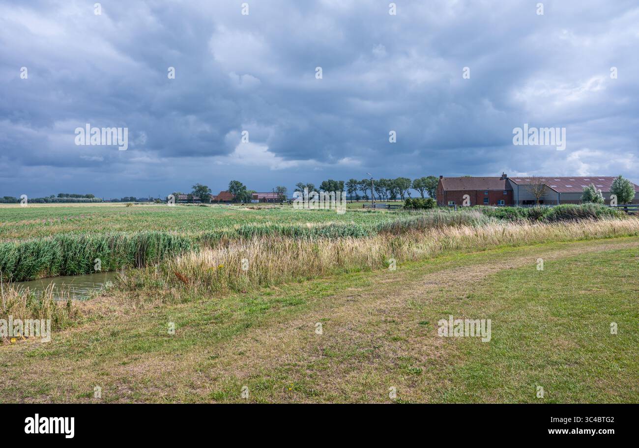 Nature fields in the Uitkerkse Polders reserve in Uitkerke, West ...
