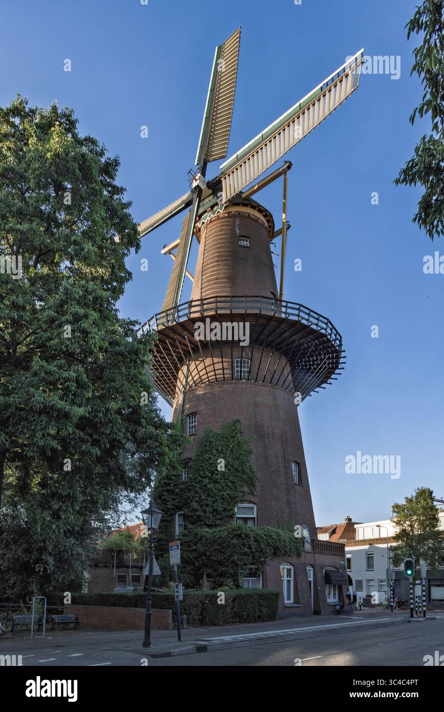 Traditional dutch buildings stands hi-res stock photography and images ...
